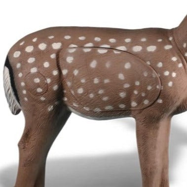 Rinehart Fallow Deer Insert – Advanced Archery