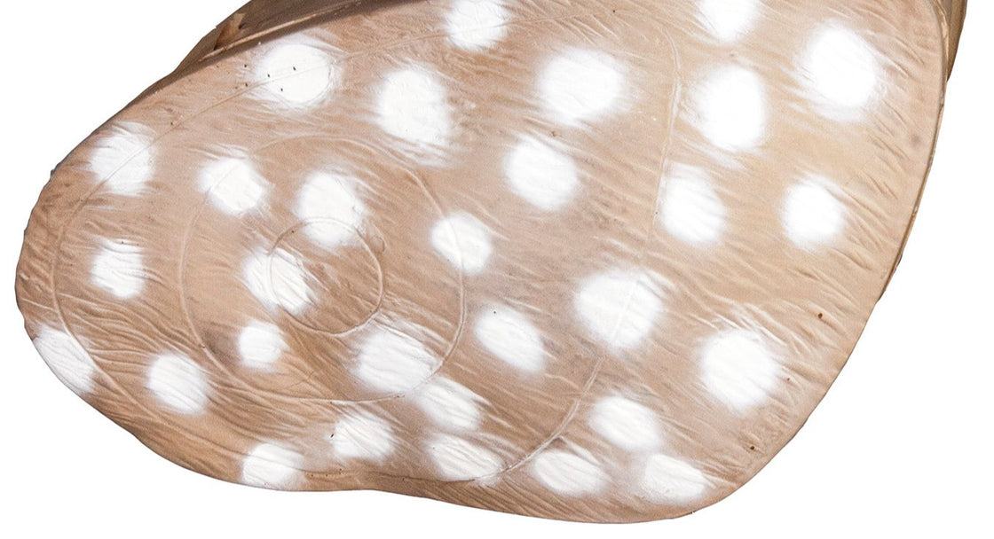 Rinehart Fallow Deer Insert – Advanced Archery