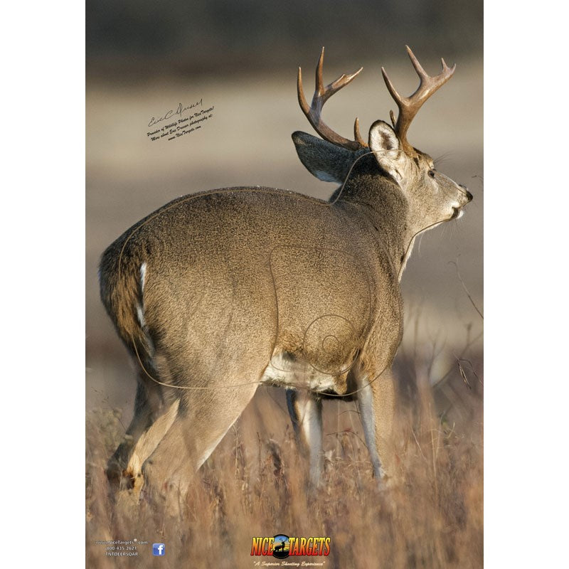 Nice Target Deer Quartering Away Right – Advanced Archery